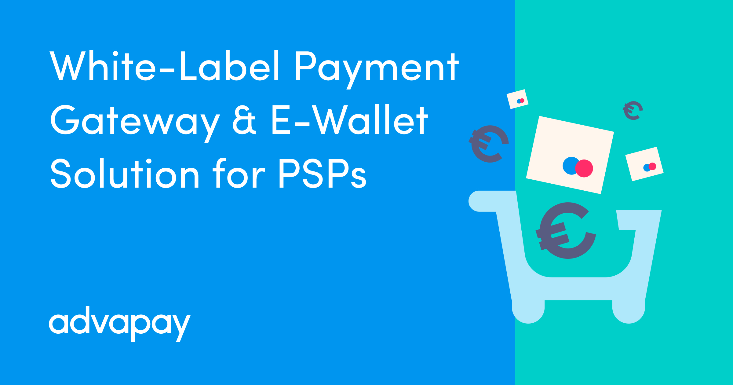 White-Label Payment Gateway & E-Wallet Solution for PSPs | Advapay